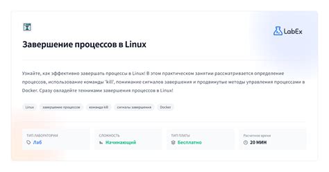 Завершение процессов в linux labex