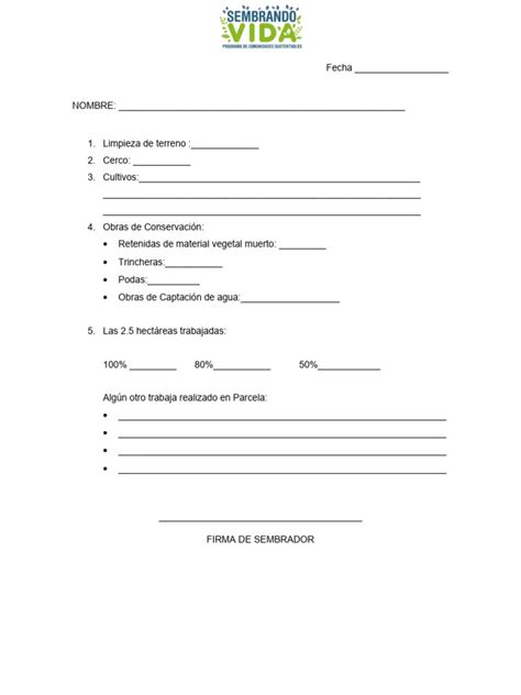Plan De Trabajo Mensual Pdf