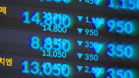 환율 1 430원까지 위협 증시 2 넘게 급락