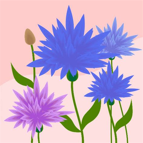 Animllover156 Youtube