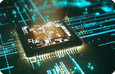 응용 소프트웨어 개발 라이브워크