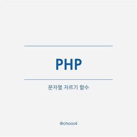 Php 문자열 자르기 함수 — 초이