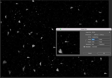Real Snow Winter Photoshop Overlays Falling Snow Png Etsy