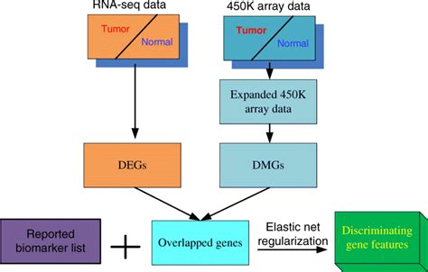 The Strategy Of The Integrative Gene Feature Selection Download Scientific Diagram