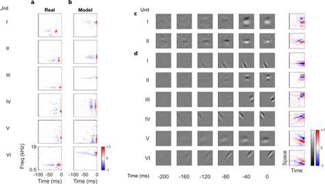Auditory Spectrotemporal And Visual Spatiotemporal Rfs Of Real Download Scientific Diagram