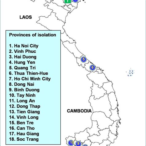 Comparison Between Tgf β1 Gene Expression And Genotypes Of The Download Scientific Diagram