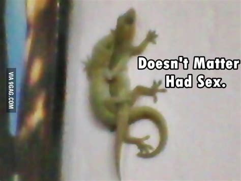 Epic Lizard Sex GAG