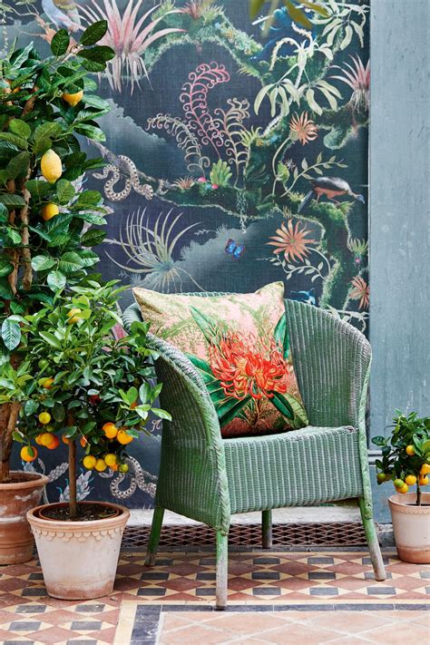 How To Prune A Lemon Tree Expert Tips To Keep It In Shape Homes And Gardens