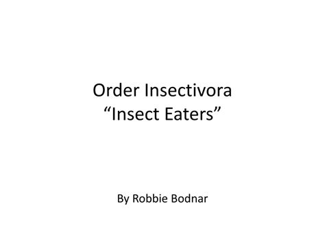 Ppt Order Insectivora “insect Eaters” Powerpoint Presentation Free