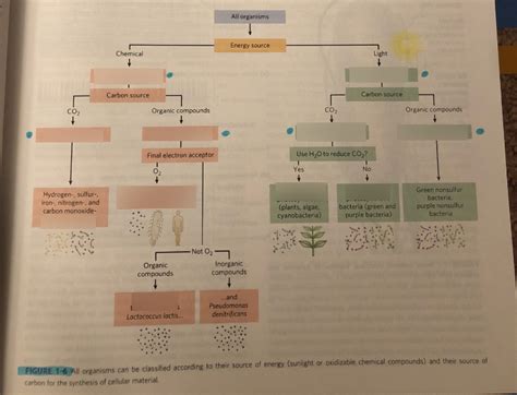 biochem ch1 foundations diagram quizlet