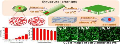 温度引起的溶液和水凝胶中生物相容性可结晶松香聚合物的结构变化 Journal Of Molecular Liquids X Mol