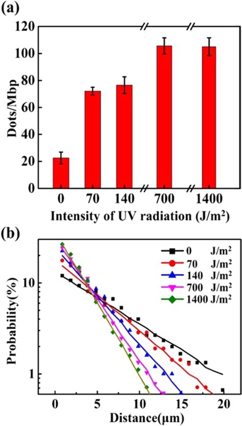 Quantification Of Uvb Damage In Genomic Dna Extracted From Cells