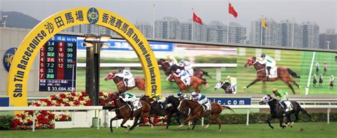 沙田馬場 進場觀賽 馬場及娛樂 香港賽馬會