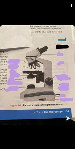 Unit 4 Lab Practical 1 Microscope Flashcards Quizlet