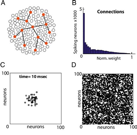 Figure 2 From Structured Networks Support Sparse Traveling Waves In Rodent Somatosensory Cortex