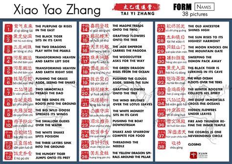 Xiao Yao Zhang Form Hidden Turtle