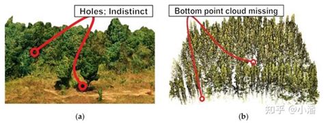 激光slam技术人工林点云构建及碳储量估算 知乎
