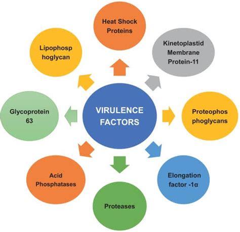 Microbial Virulence Factors Classnotesng