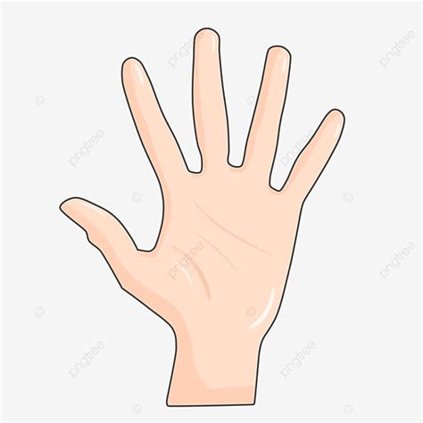 다섯 손가락 그림 일러스트 손바닥 창조적 인 제스처 한 손으로 열린 창조적 인 제스처 그림 그림 Png 일러스트 및 Psd 이미지 무료 다운로드 Pngtree