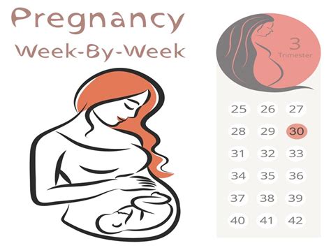 30 Weeks Pregnant Symptoms Milestones And Caring Tips