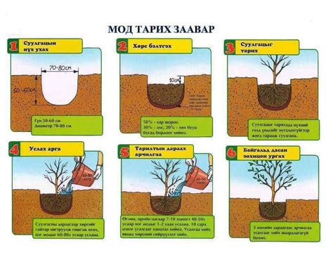 Цөлжилт ба түүнийг шийдвэрлэх арга зам