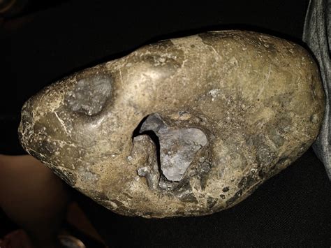 ID Please Fossil ID The Fossil Forum ID Please Fossil ID The Fossil Forum