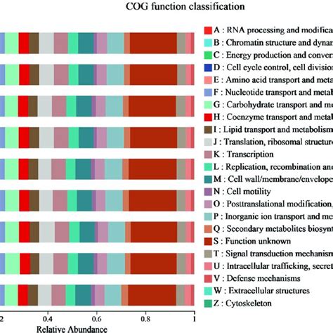 The Cog Function Classification Of Intestinal Flora Cp30ee6 30 Crude