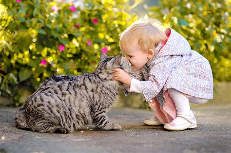 最強の癒しコラボ赤ちゃんと猫の仲良し写真20選