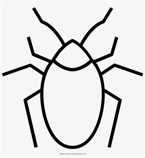 Cockroaches Coloring Page Imagenes De Cucaracha Para Dibujar 1000x1000 Png Download Pngkit