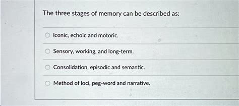 Solved The Three Stages Of Memory Can Be Described As Iconic Echoic