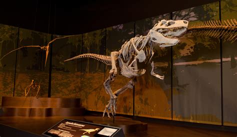 Appalachiosaurus Tellus Museum In Cartersville Georgia