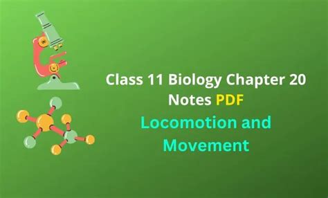 Ncert Class 11 Biology Locomotion And Movement Notes Pdf Ncert Class 11 Biology Locomotion And Movement Notes Pdf