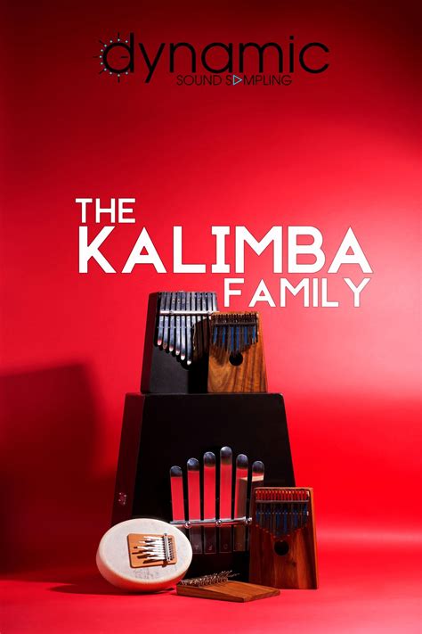 Dynamic Sound Sampling