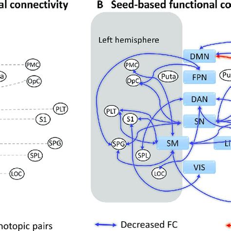 Between Group Comparison In Homotopic Structural Connectivity Download Scientific Diagram