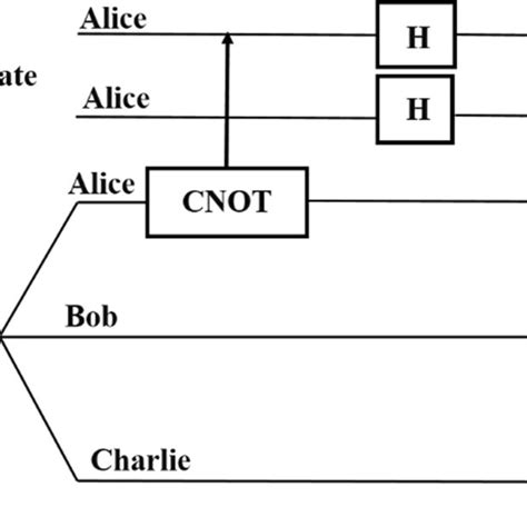 The Circuit Of Liu Et Al Yanyan And Chengqian 2009 Protocol Download Scientific Diagram
