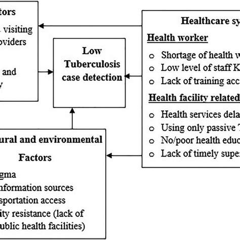 Main And Subthemes About The Barriers Of Tb Case Detection Tcd In