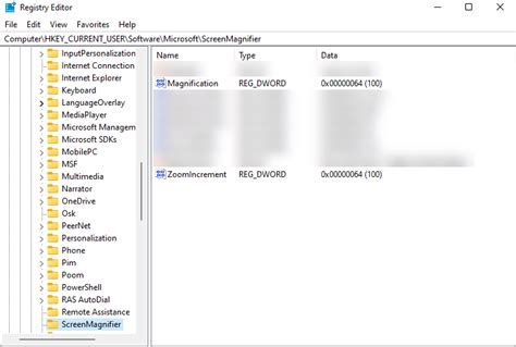 How To Use The Magnifier Tool On Windows 11