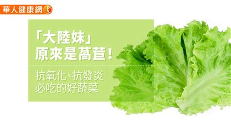 A菜其實是萵苣保護眼睛增強免疫力聰明吃 華人健康網 專業即時優質的健康新聞及資訊分享平台業即時優質的健康新聞及資訊分享平台