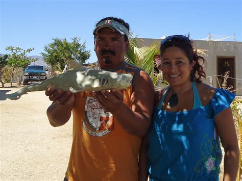 Pictures Rare Cyclops Shark Found National Geographic