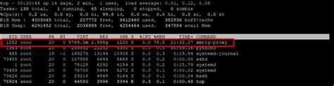 High Memory Usage · Issue 427 · Xmrigxmrig Proxy · Github