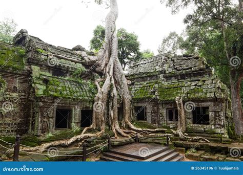 De Oude Tempel Van Ta Prohm Stock Foto Image Of Azië Groen 26345196