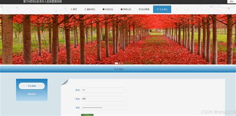 Ssmvue基于md5社区老年人信息管理系统【开题程序论文】 计算机毕业设计 Csdn博客
