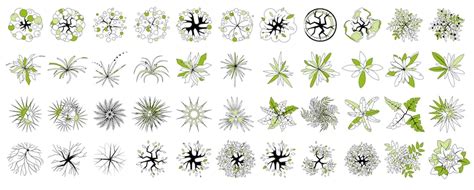 Premium Vector Set Of Trees And Plants Top View For Landscape Design Icon Set Foliage Grass