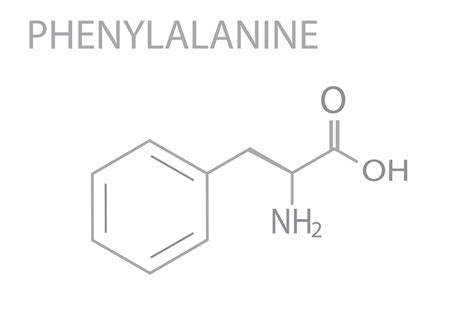 Phenylalanine Molecular Skeletal Chemical Formula 36388730 Vector Art