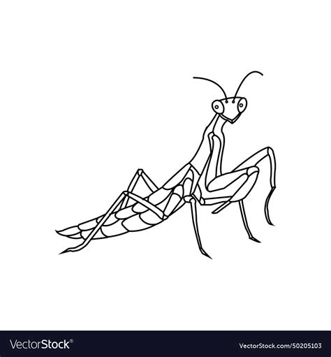 Grasshopper Icon Royalty Free Vector Image Vectorstock