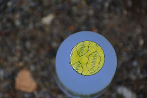 Cloudy White Marine Lemon Juice Packaging Size 250 Ml At ₹ 10 Bottle In Ranchi