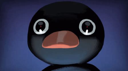 Angry Pingu Arguing  500×500 Pingu