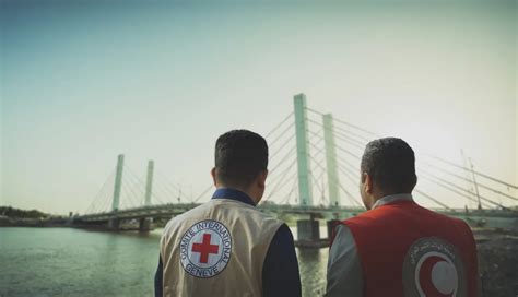 Iraq The Icrc Expands Its Humanitarian Operations In Southern Iraq Icrc