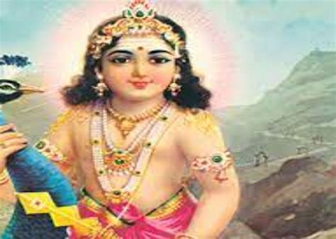 தமிழர்கள் கொண்டாடும் ஆடி கிருத்திகை சிக்கல்கள் தீர இப்படி