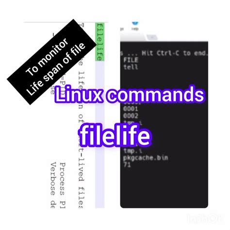 Linux Commands For Beginners Linux Debug Cmd Filelife Linux Command Linux Commands Shorts